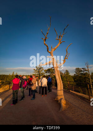 BRYCE CANYON, UNITED STATES - May 28, 2016: A beautiful view of arch ...