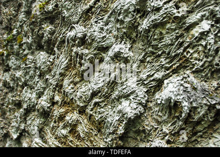 Mamerki (German: Mauerwald) bunker complex - former headquarters of ...