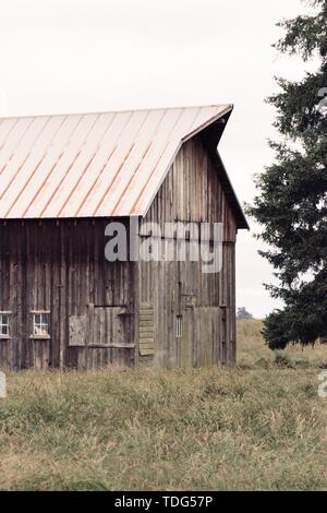 Large red vintage country barn in grassy fields with fall trees behind ...