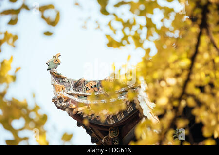 Autumn scenery of Ginkgo biloba at Qingyang Palace in Chengdu Stock ...
