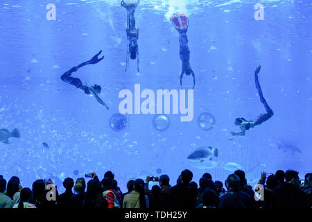Mermaid performance at Haichang Ocean Park, Shanghai Stock Photo - Alamy