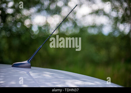 car root with antenna in nature with blur background Stock Photo - Alamy