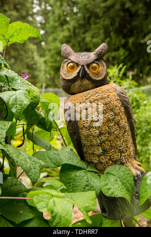 Owl statue with a head that moves, to repel birds from eating the ...