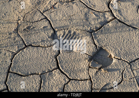 Texture of gray dry cracked earth. The concept of drought, global ...