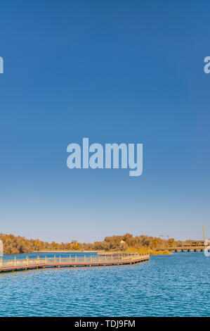 Poplar Lin, lake, reflection, beautiful scenery Stock Photo - Alamy