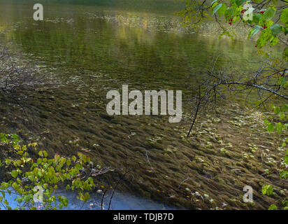 Autumn color of Jiuzhaigou Stock Photo - Alamy