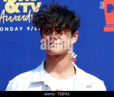 LOS ANGELES - JUN 15: Benjamin De Almeida at the 2019 MTV Movie & TV ...