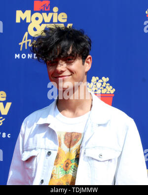 LOS ANGELES - JUN 15: Benjamin De Almeida at the 2019 MTV Movie & TV ...