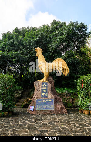 Haikou Shishan Volcanic Group National Geopark, China Stock Photo - Alamy