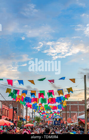 Beautiful greeting card for Festa Junina (June Festival) with ...