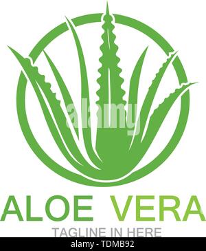 Aloe vera logo vector ilustration Stock Vector Image & Art - Alamy