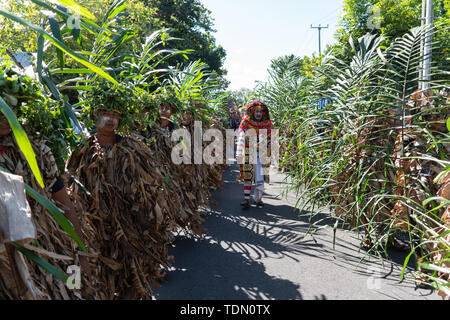 DENPASAR/BALI-JUNE 15 2019: Baris Memedi Dance is performed at the ...