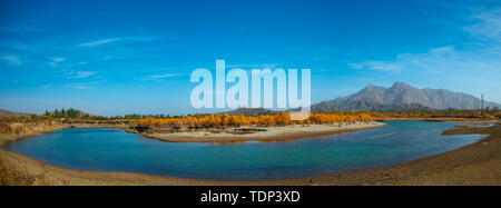 hu yang forest Stock Photo - Alamy