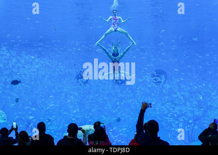Mermaid performance at Haichang Ocean Park, Shanghai Stock Photo - Alamy