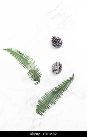 Nordic fern background Stock Photo - Alamy