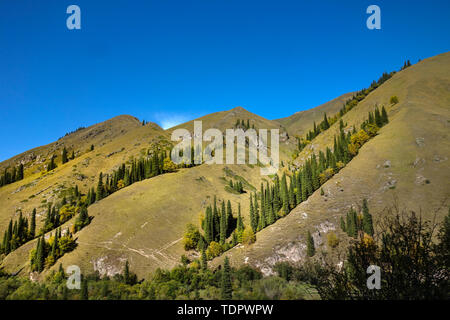 Xinjiang tianshan mountains scenery Stock Photo - Alamy