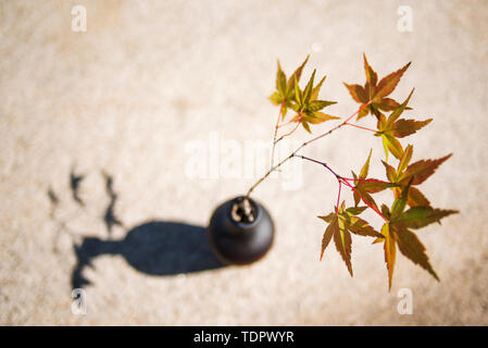A group of vases and maple leaves combined creative pictures Stock ...
