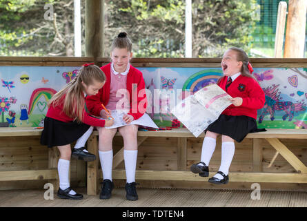 Pupils (left to right) Jorgia Cowie, 5, Chloe Adams, 11, Holly Adams, 8 ...
