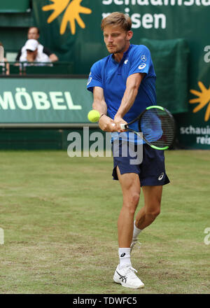 Halle, Germany. 19th June, 2019. Tennis: ATP Tour Individual, Men ...