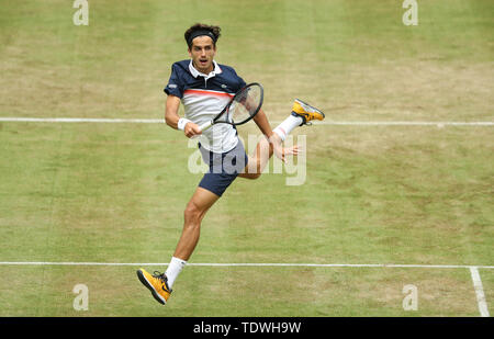 Halle, Germany. 19th June, 2019. Tennis: ATP Tour Individual, Men ...