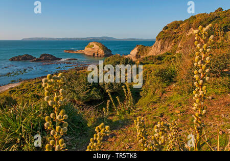 Chilean Chiloe Island Coast Landscape. Pacific coast landscape Stock ...