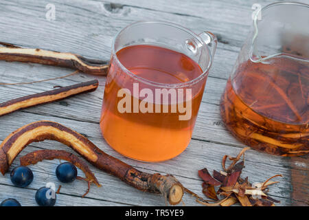 blackthorn, sloe (Prunus spinosa), selfmade tea from roots of ...