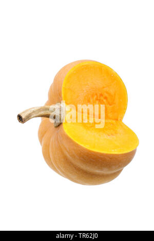 winter squash (Cucurbita moschata 'Mini Muskat', Cucurbita moschata ...