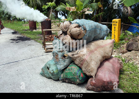 charcoal making out of coconut shells on the roadside, Philippines ...