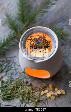 bruning of spruce needles and resin , Germany Stock Photo - Alamy