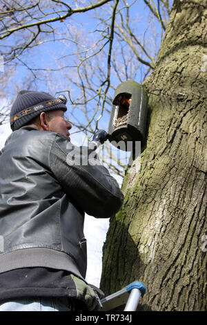 adult man looking at electric flashlight during power outage isolated ...