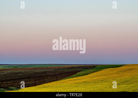 Field in Yambol, Bulgaria, morning sun Stock Photo - Alamy