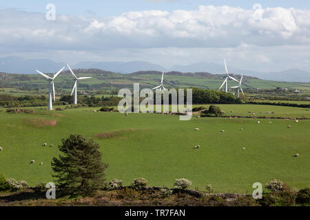 Farm on the Anglesey Island Stock Photo - Alamy