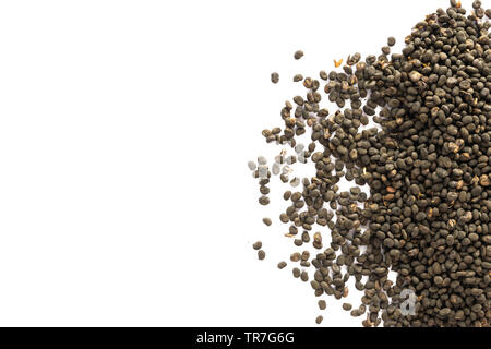 Babchi dry raw seeds (Psoralea Corylifolia Stock Photo - Alamy