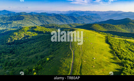 Max Patch, Appalachian Trail, NC, USA Stock Photo - Alamy