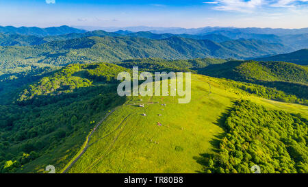Max Patch, Appalachian Trail, NC, USA Stock Photo - Alamy
