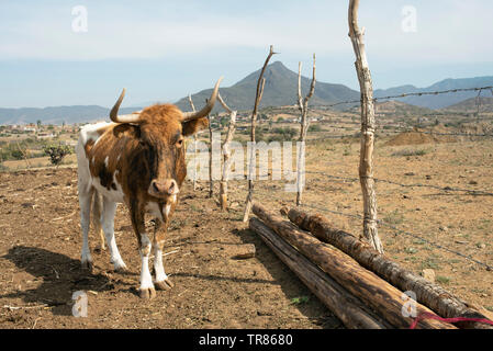 Mexican countryside Oaxaca state Mexico Stock Photo - Alamy
