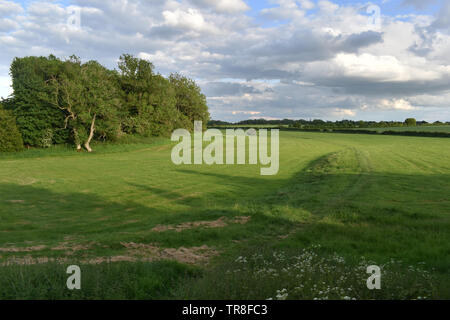 Thames Head (the source of the River Thames), near Kemble, Cotswolds ...