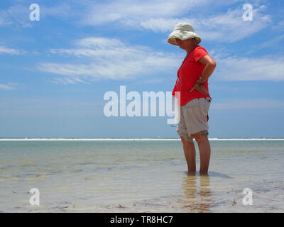 Woman Shelling at Anclote Key Preserve State Park, Florida, USA, May 9 ...