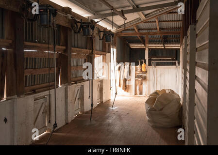 inside a sheep shearing shed Australia Stock Photo - Alamy