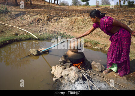 Mahua wine, process of extracting country liquor from Mahua flowers ...