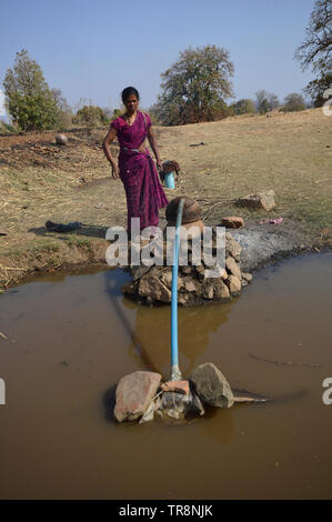 Mahua wine, process of extracting country liquor from Mahua flowers ...