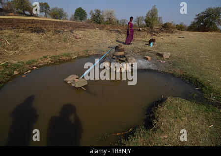 Mahua wine, process of extracting country liquor from Mahua flowers ...