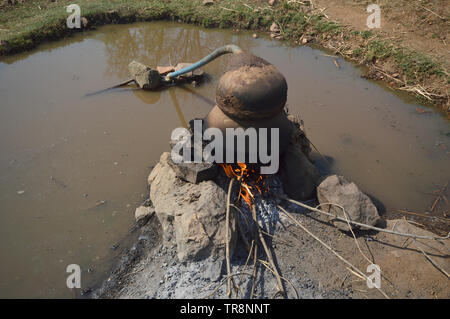 Mahua brew, Indian traditional local liquor process of making it Stock ...