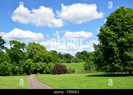 Melbury Park, near Evershot, Dorset Stock Photo - Alamy