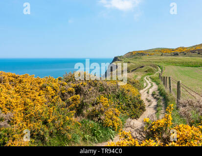 Cleveland Way National Trail coastal footpath sign near Saltburn on the ...