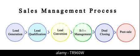 Components of Sales Management Process Stock Photo - Alamy
