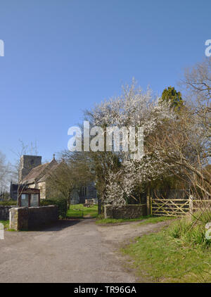 St Bartholomew's church at Shapwick Stock Photo - Alamy