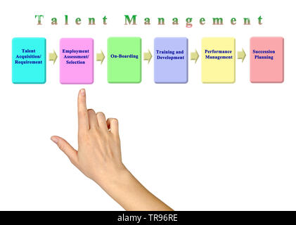 Diagram of Talent Management Stock Photo - Alamy