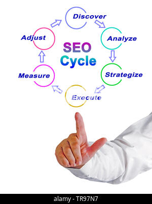 Components of SEO Cycle Stock Photo - Alamy