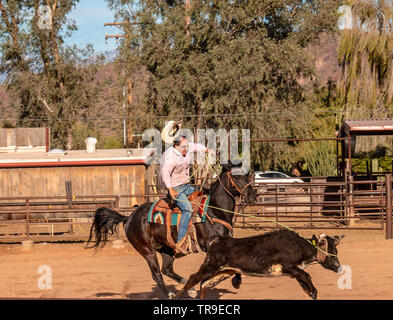 Team Penning event Stock Photo - Alamy